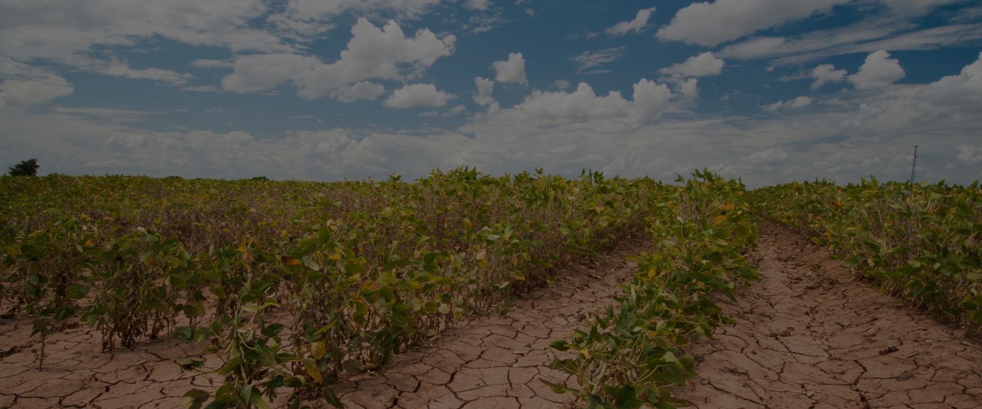 ZERO – Regional Environment Organisation